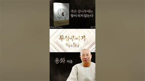당신의 인생을 바꿔줄 지혜의 책 죽은 감나무에는 꽃도 피지 않는다용화 지음 종교부분 베스트셀러안양 수리산 용화사 031