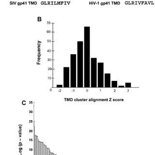 Bioinformatics Database Analysis A The Sequence Alignments Obtained Download Scientific