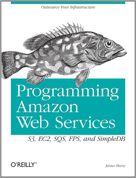 programming amazon web services s3 ec2 sqs fps and simpledb 1
