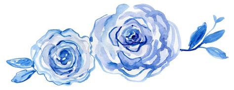 Rosas Azules Acuarela Pintada A Mano Ejemplo Del Vintage Stock De