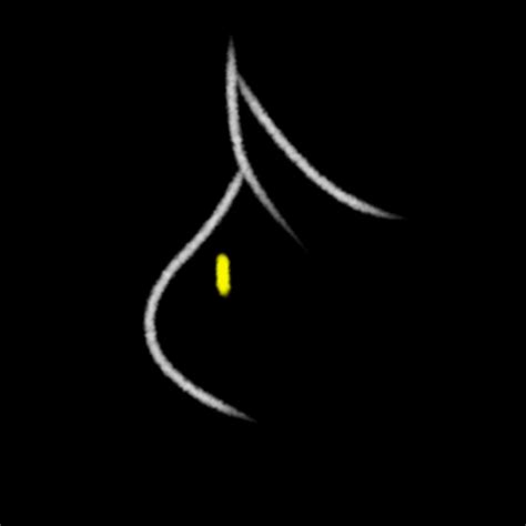 黒猫 Kokubyo Youtube