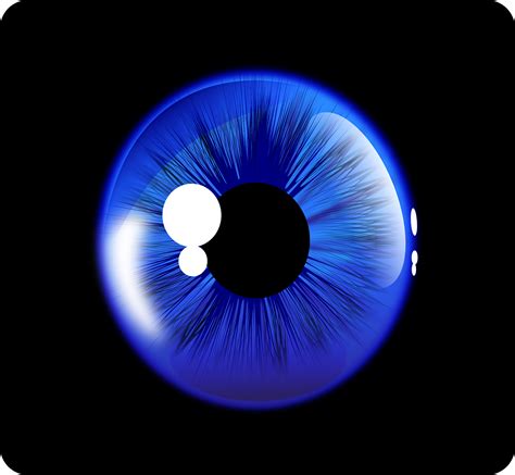 Download Eye Iris Pupil Royalty Free Vector Graphic Pixabay
