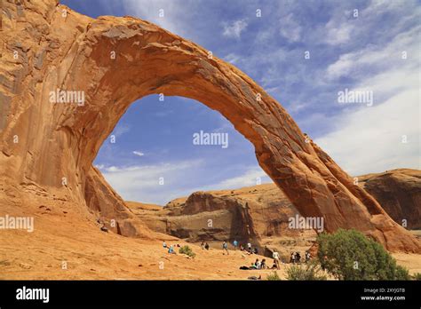 Diseased Arch Hi Res Stock Photography And Images Alamy