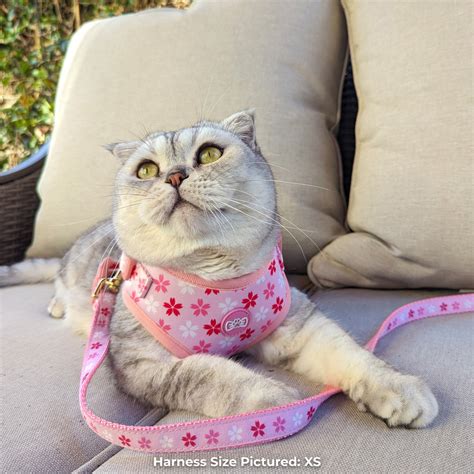 Cherry Blossom Harness Pawsonify Pawsonify