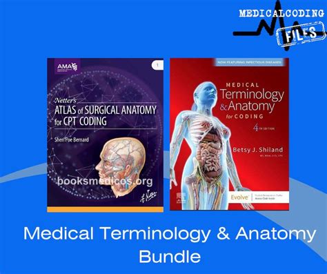 Medical Coding Anatomy Ebook Bundle Etsy
