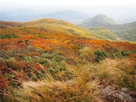神の絨毯🍁栗駒山 さくぱんさんの栗駒山（須川岳）・秣岳・虚空蔵山の活動データ Yamap ヤマップ
