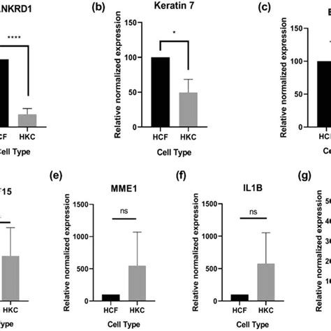 Real Time Pcr Validation Of Selected Genes For Their Differential Download Scientific Diagram