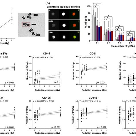 Extracellular Vesicles Evs Are Released From Various Cell Types In Download Scientific