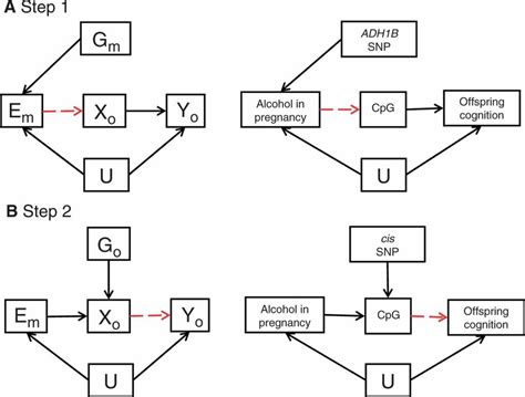 Applying A Two Step Epigenetic Mendelian Randomization Approach To In Download Scientific