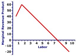 What Is Fixed Input And Variable Input In Economics
