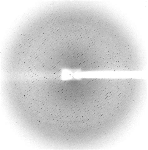 IUCr Crystallization And Preliminary X Ray Diffraction Analysis Of