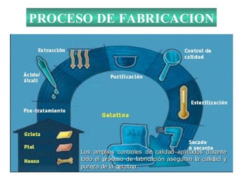 Proceso De Elaboracion De La Gelatina Arbol