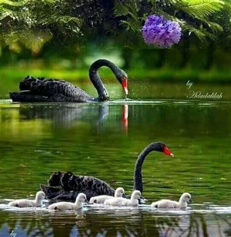 Цагаан Уул Сумын зар Facebook