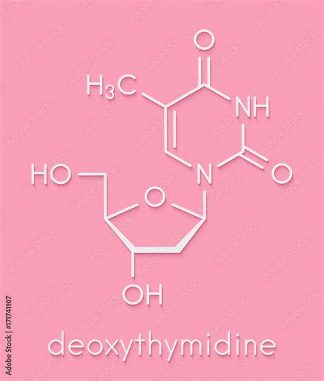 Deoxythymidine
