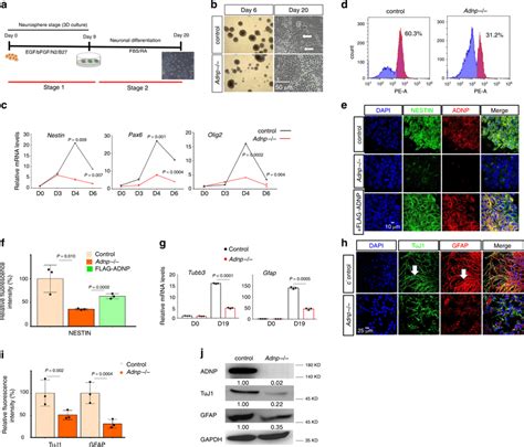 Npc Behavior Modeling With Behavior Trees In Unity