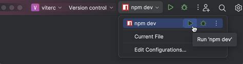 Vite Intellij Idea Documentation