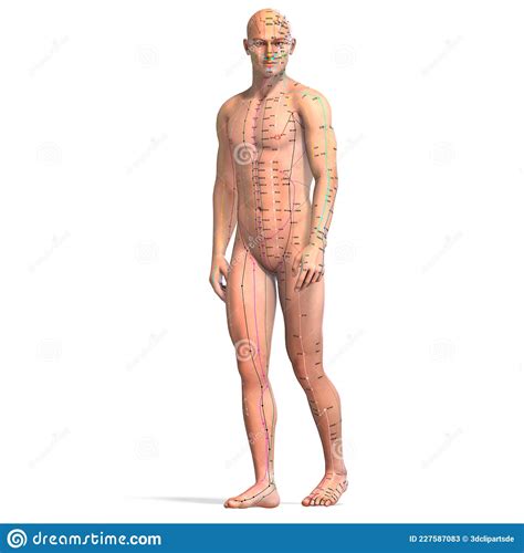 Eastern Or Asian Acupuncture And Acupressure Points On A Male Body