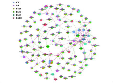 Network Analysis Based On Bacterial And Fungal Otus With The