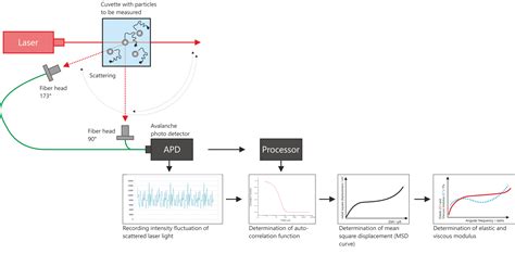 Microrheology Dlsµr 3p Instruments