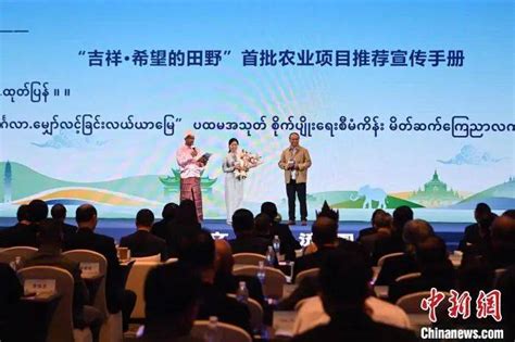 中缅文化交流周系列活动在昆明启动合作李嘉娴仪式