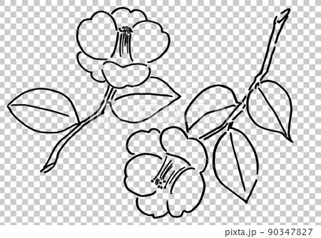 椿の花 線画 シンプルイラスト のイラスト素材 90347827 PIXTA