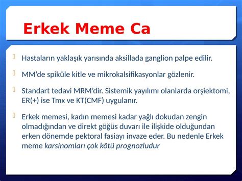 Akademik Sunum
