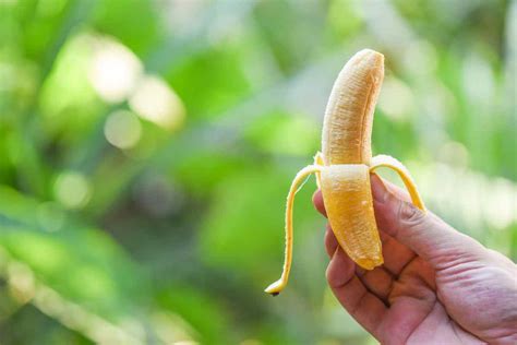 Non In Frigo Né In Dispensa Tutti Stanno Mettendo Le Banane In