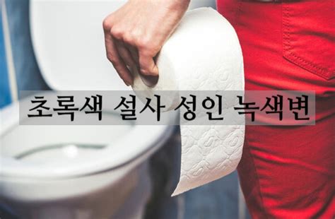초록색 설사 성인 녹색변 혈변 흑변 원인 네이버 블로그