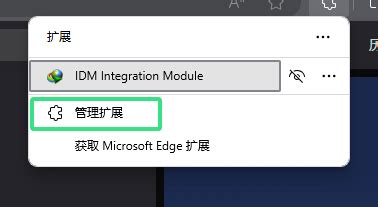IDM绿色直装无需破解 周半仙 博客园