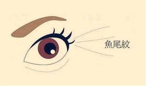 你的鱼尾纹长什么样，就是什么命？看哪种最有钱