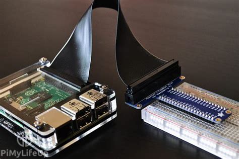 The Basics Of The Raspberry Pi Gpio Pins Pi My Life Up