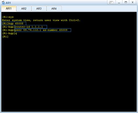 Bgp Bgp Csdn