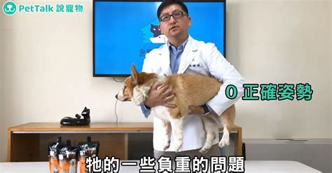 冬天是抱抱的季節，但如何正確抱柯基呢？｜pettalk愛寵醫師影片團 Pettalk：說寵物