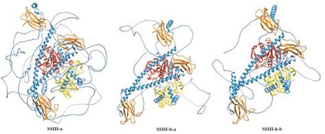 Tertiary Structure Prediction Of SSIII Genes CBM GT And GT Download Scientific Diagram
