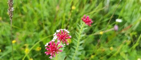 Springboot3实战：实现接口签名验证java接口验签实现 Csdn博客