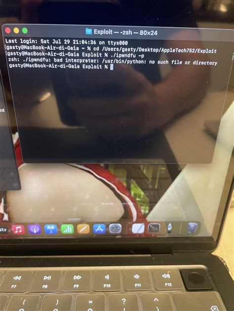 usr bin python no such file or directory r setupapp