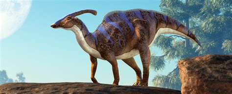Researchers Claim To Have Found A Rare Dinosaur Mummy With Some