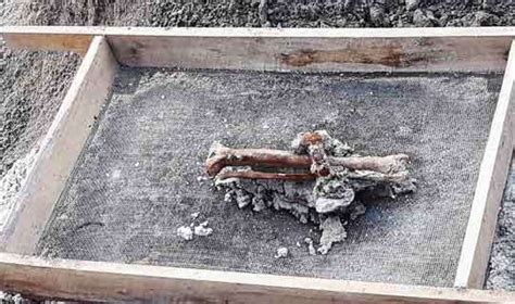 මන්නාරම සමූහ මිණීවලේ කැණීම් තවදුරටත් එකිනෙකට බැඳි අස්ථි යළි හමුවෙයි Ada Online