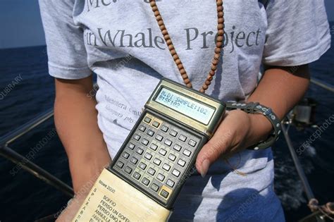 Cetacean Research Stock Image C0060912 Science Photo Library