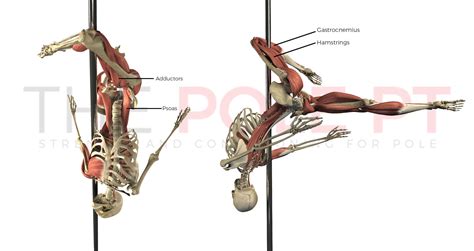 Lemme Leg Hang Anatomy Of Pole Outside Leg Hang The Pole Pt