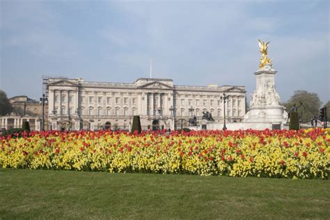 This Is The Difference Between Cropping And Resizing Your Photos And