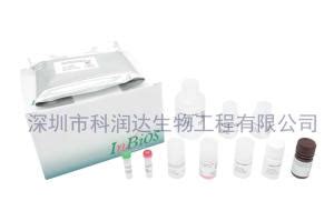 钩端螺旋体检测试剂InBios品牌 深圳市科润达生物工程有限公司