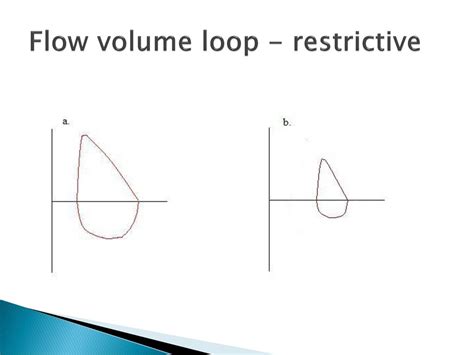 Lung Volumes And Lung Function Testing Ppt Download