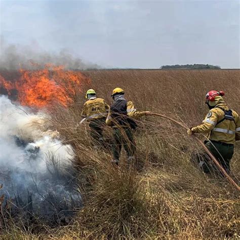 Más De 70 Causas Por Incendios Intencionales En Corrientes Filo News
