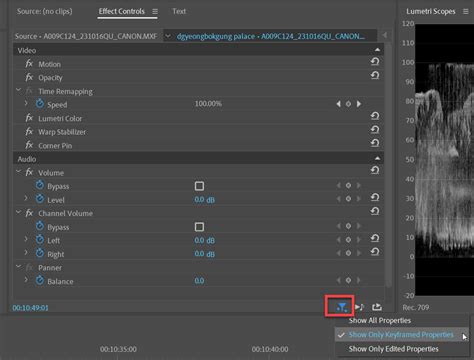 Effect Controls Panel Bug Adobe Product Community 14333670