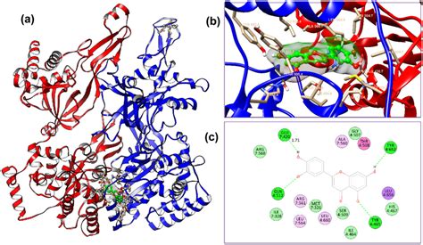 A Docking Mode Of Protein And Ligand By Schrodinger Glide Xp Docking