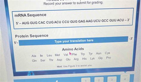 Solved Record Your Answer To Submit For Grading Protein Sequence Frac