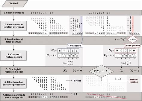Finesplice Enhanced Splice Junction Detection And Quantification Rna Seq Blog