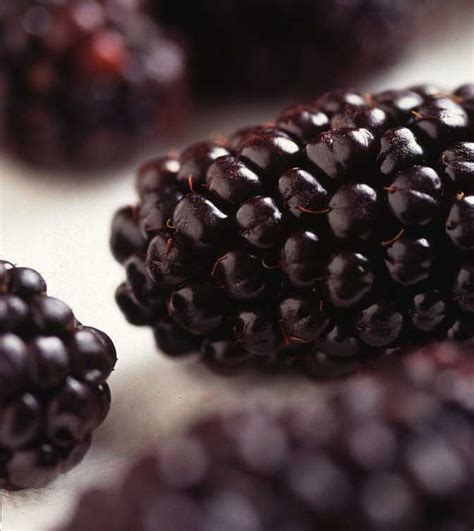 Blackberry Vs Raspberry What Is The Difference