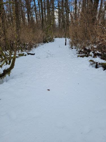 Best Hikes And Trails In Surrey Bend Regional Park Alltrails